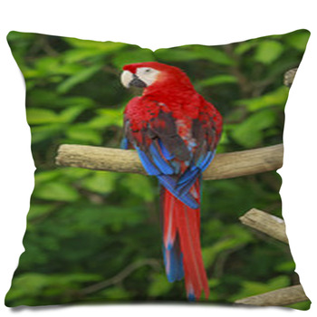 Parrot Throw Pillows, Cases, & Shams