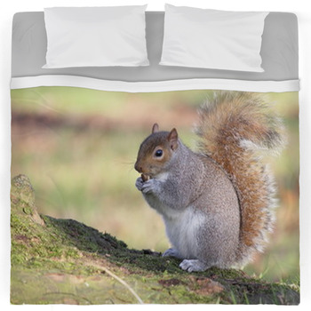 Squirrel Bedding | Comforters, Duvet Covers, Sheets & Bed Sets | Custom