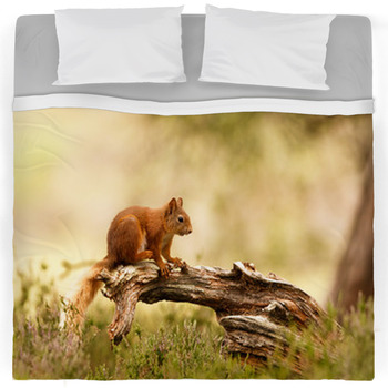 Squirrel Comforters, Duvets, Sheets & Sets | Personalized
