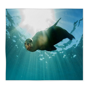 Seal Area Rugs & Floor Mats