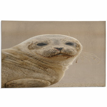 Seal Area Rugs & Floor Mats