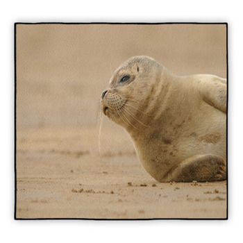 Seal Rugs & Floor Mats