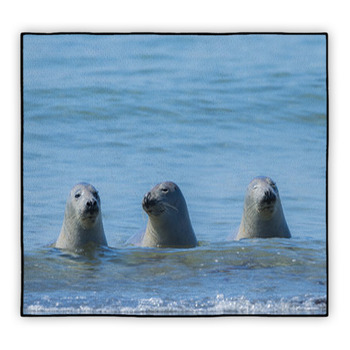 Seal Area Rugs & Floor Mats