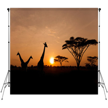 Safari Photo Backdrops | Available in nearly ANY Custom Sizes