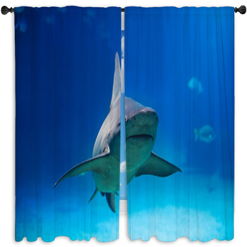Shark Drapes & Window Treatments | Black Out | Custom Sizes