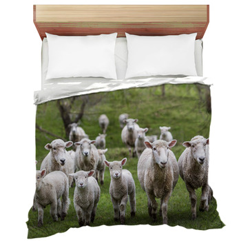 Sheep Comforters, Duvets, Sheets & Sets | Custom