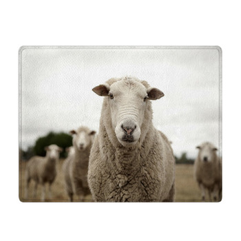 Sheep Shower Curtains, Bath Mats, & Towels Personalize