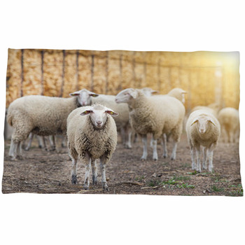Sheep Comforters, Duvets, Sheets & Sets | Custom