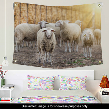 Sheep Wall Decor in Canvas, Murals, Tapestries, Posters & More