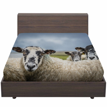 Sheep Comforters, Duvets, Sheets & Sets | Custom