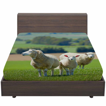 Sheep Comforters, Duvets, Sheets & Sets | Custom