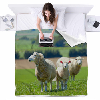 Sheep Comforters, Duvets, Sheets & Sets | Custom