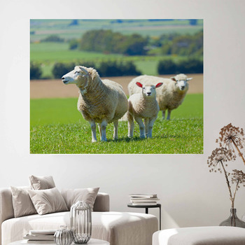 Sheep Wall Decor in Canvas, Murals, Tapestries, Posters & More