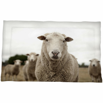 Sheep Comforters, Duvets, Sheets & Sets | Custom