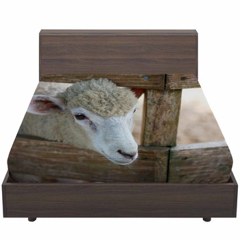 Sheep Comforters, Duvets, Sheets & Sets | Custom