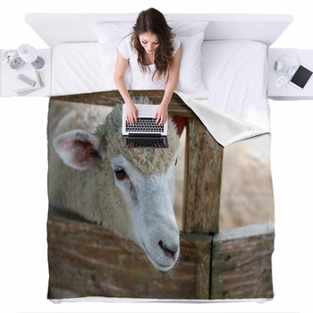 Sheep Comforters, Duvets, Sheets & Sets | Custom