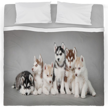 Dog Comforters, Duvets, Sheets & Sets | Personalized