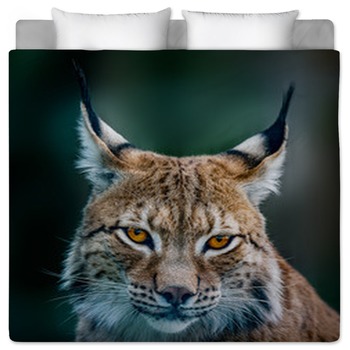 Bobcat Comforters, Duvets, Sheets & Sets | Personalized