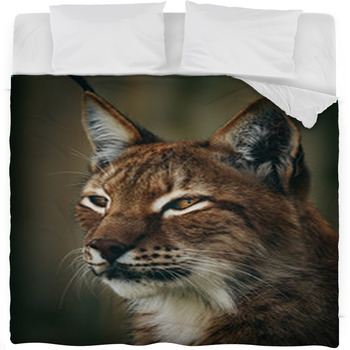Bobcat Comforters, Duvets, Sheets & Sets | Personalized