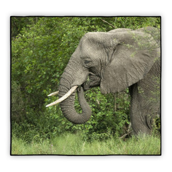 Elephant Area Rugs & Custom Size Floor Mats
