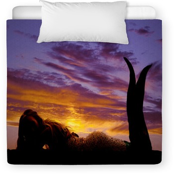 Fairy tale Baby Blankets, Toddler Bedding | Personalized