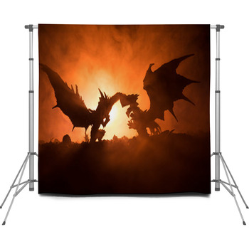 Dragon Photographer Backdrops | Available in Ultra Large Custom Sizes