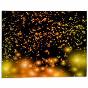 Firefly Area Rugs & Floor Mats