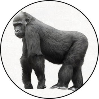 Gorilla Rugs & Custom Size Floor Mats