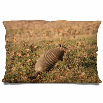 Armadillo Comforters, Duvets, Sheets & Sets | Personalized