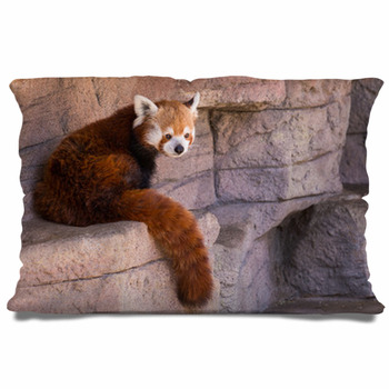 Red panda Comforters, Duvets, Sheets & Sets | Personalized
