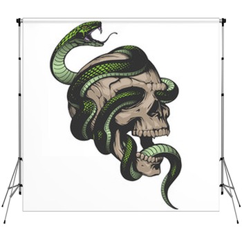 Skull Photographer Backdrops | Available in nearly ANY Custom Sizes