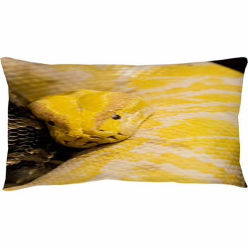 Snake Throw Pillows, Cases