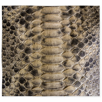 Animal print Area Rugs & Floor Mats