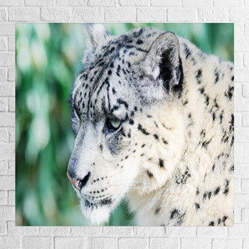 Leopard Wall Decor in Canvas, Murals, Tapestries, Posters & More
