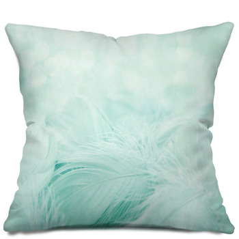 Feather Throw Pillows, Cases, & Shams