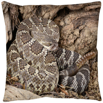Snake Throw Pillows, Cases