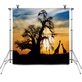Safari Photo Backdrops | Available in nearly ANY Custom Sizes