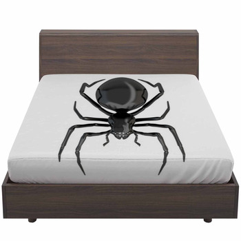 Spider Comforters, Duvets, Sheets & Sets | Personalized