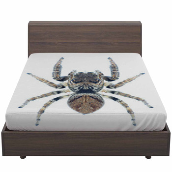 Spider Comforters, Duvets, Sheets & Sets | Personalized
