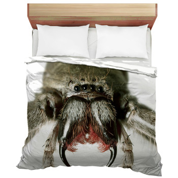 Spider Comforters, Duvets, Sheets & Sets | Personalized