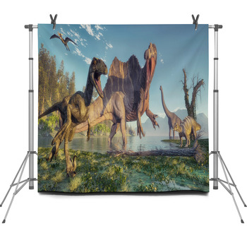 Dinosaur Photo Backdrops | Available in Very Large Custom Sizes