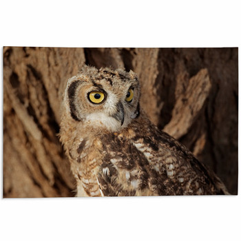 Owl Area Rugs & Custom Size Floor Mats