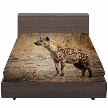 Hyena Comforters, Duvets, Sheets & Sets | Custom