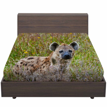 Hyena Comforters, Duvets, Sheets & Sets | Custom
