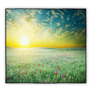 Spring Area Rugs & Custom Size Floor Mats