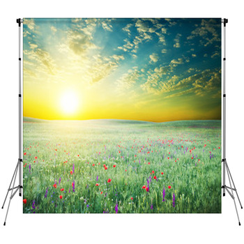 Spring Photo Backdrops | Custom Sizes | Ultra Large Available