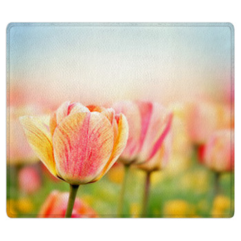 Spring Shower Curtains | Bath Decor | Bath Mats Towels