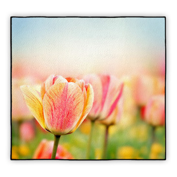 Spring Area Rugs & Custom Size Floor Mats