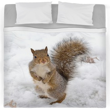 squirrel Comforters, Duvet Covers, Sheets & Bed Sets | Personalized