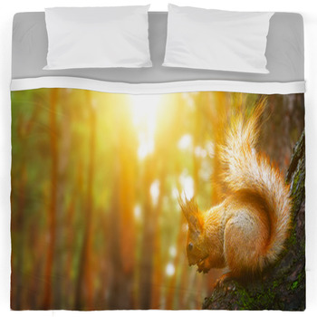 squirrel Comforters, Duvet Covers, Sheets & Bed Sets | Personalized